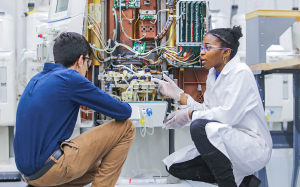 Top 20 Best Biomedical Engineering Schools 2024 - College US