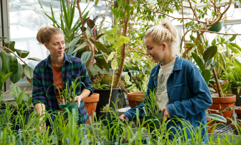 The 10 Best Small Colleges For Environmental Science: Nurturing Future ...
