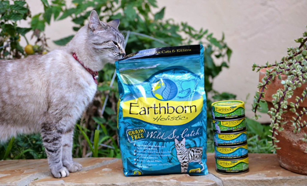 Can You Get Cat Food With EBT Exploring EBT Eligibility For Pet Food Can You Get Cat Food With EBT Exploring EBT Eligibility For Pet Food